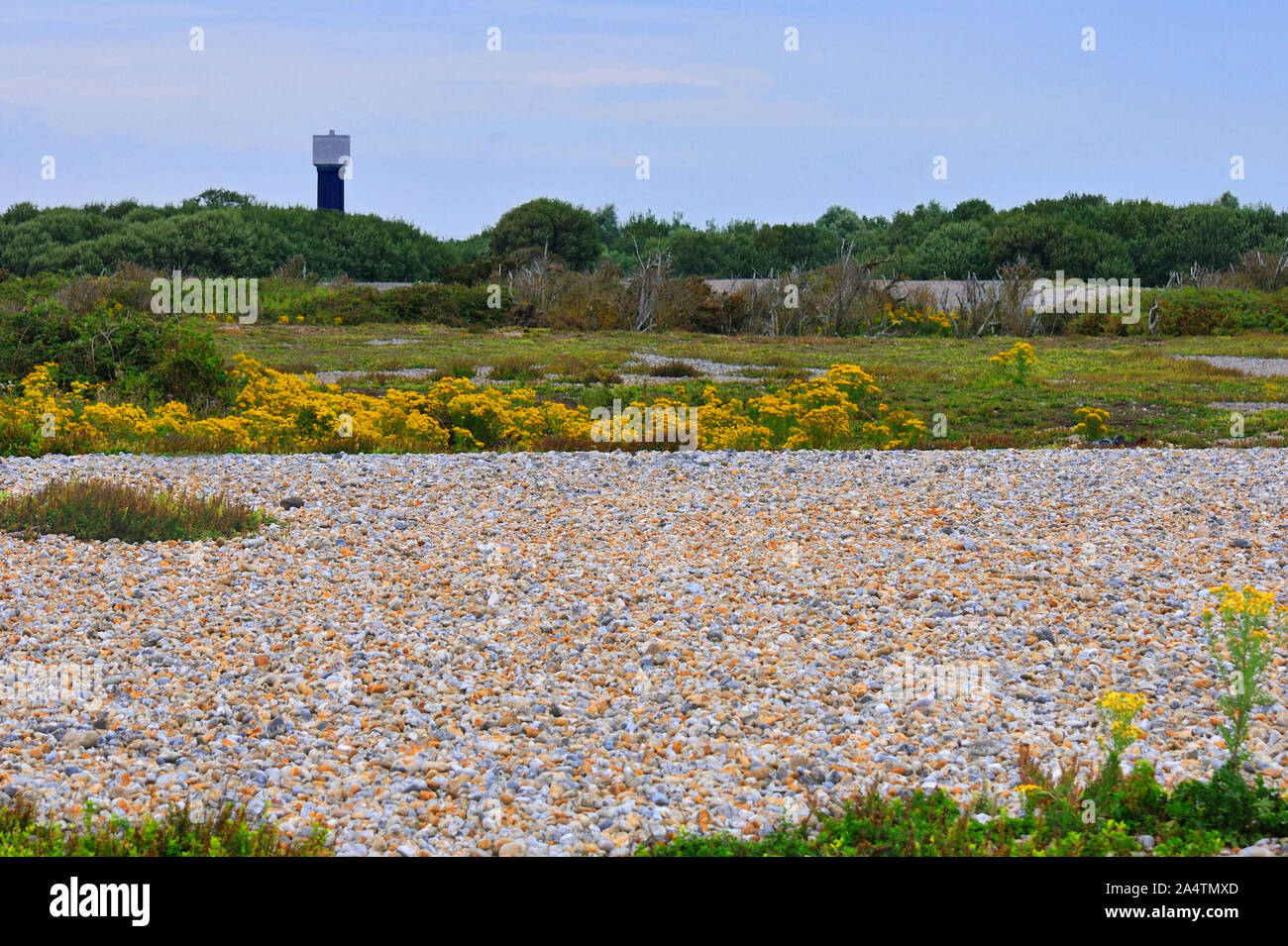 Shingle Fields at Dungeness Kent, with Old Lighthouse Stock Photo - Alamy