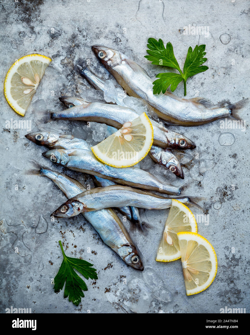 Fresh catch Shishamo fish fully eggs flat lay on shabby metal ...