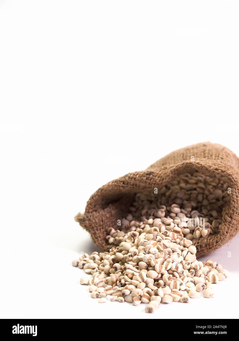 millet , Put it in the bag , Put on a white background. (picture with ...