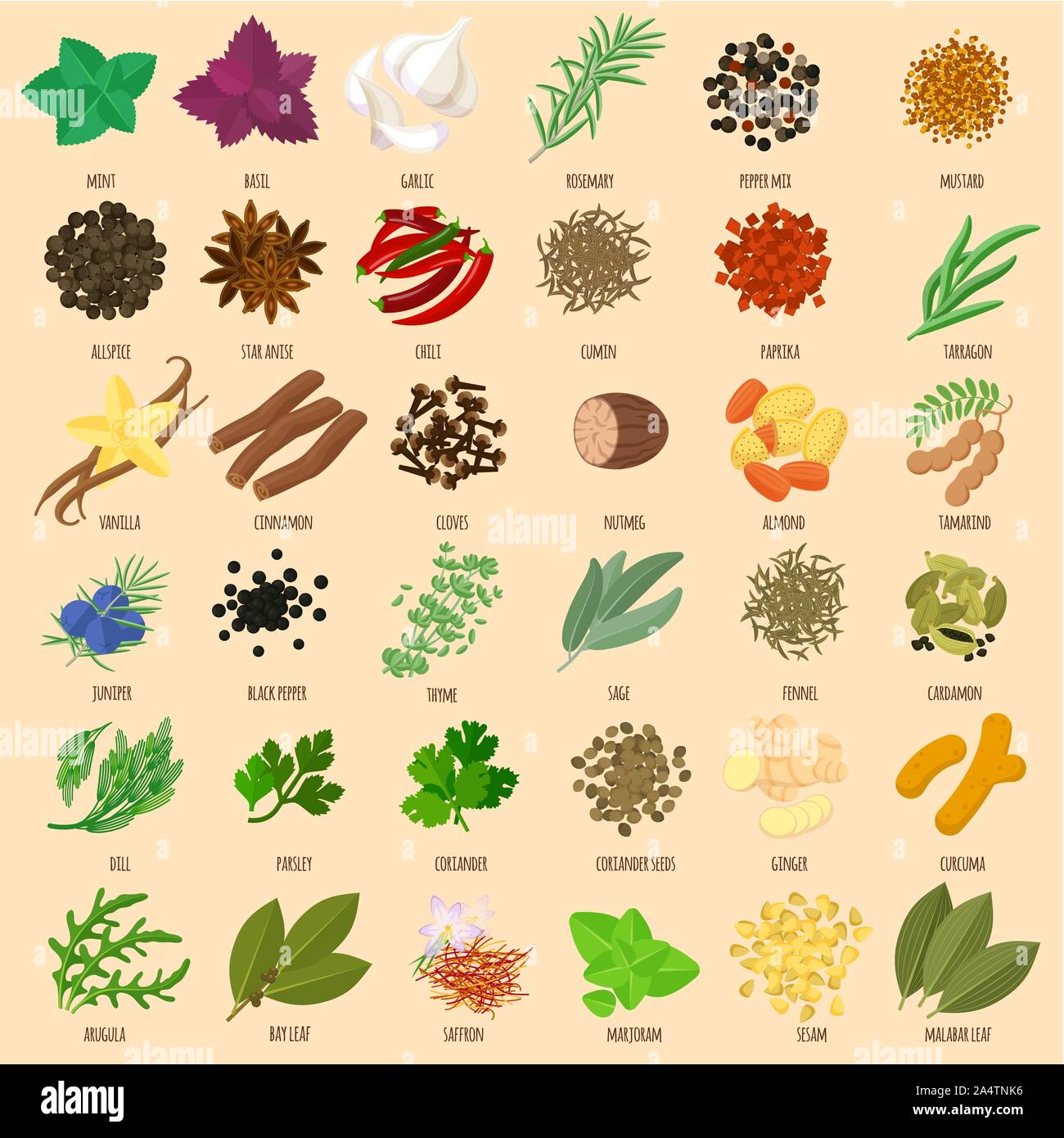 Herbs and spices icons Stock Vector Image & Art - Alamy