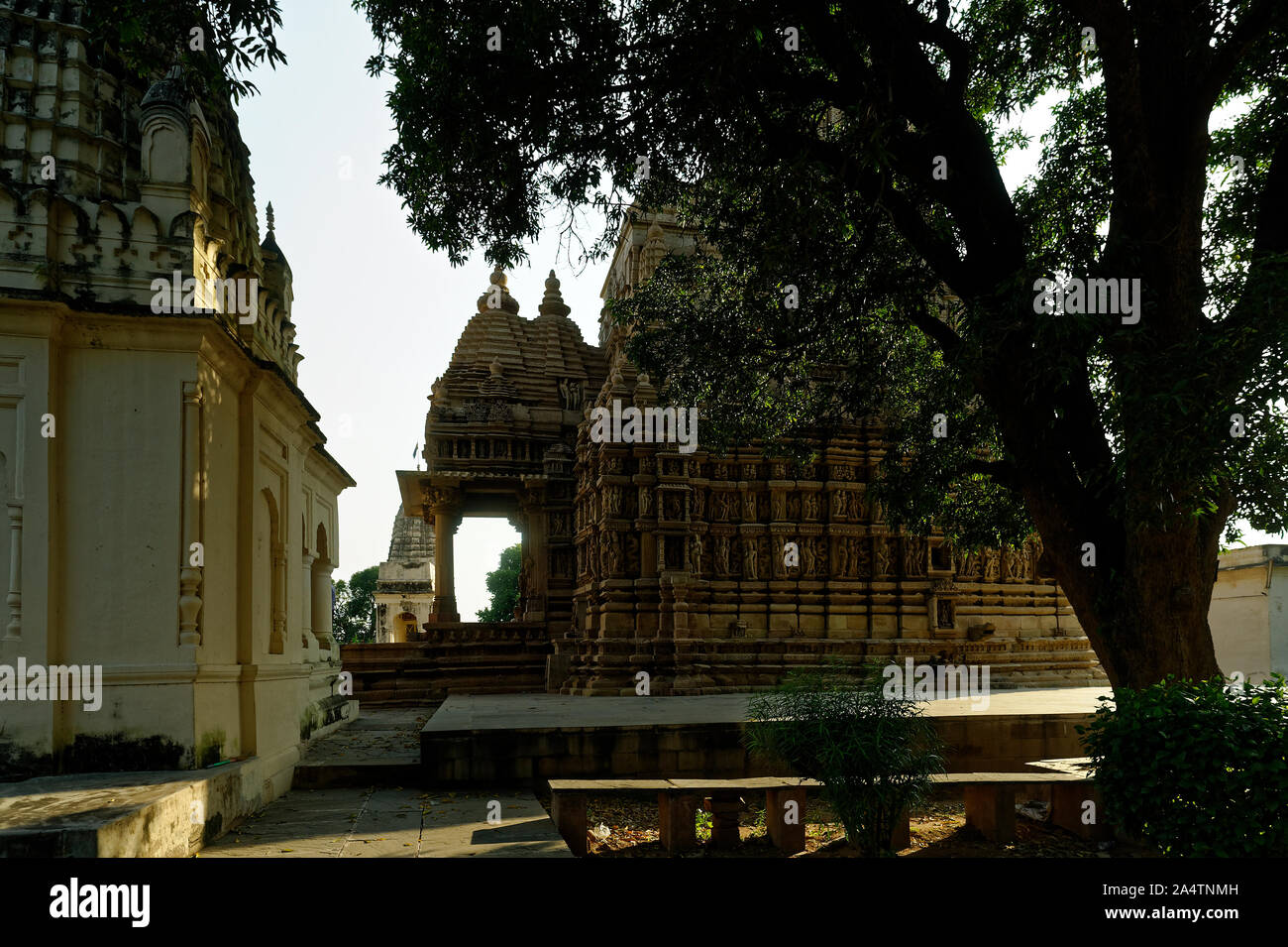 Parshvanatha temple hi-res stock photography and images - Alamy