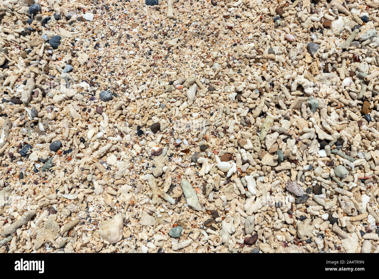Coral sand hi-res stock photography and images - Alamy