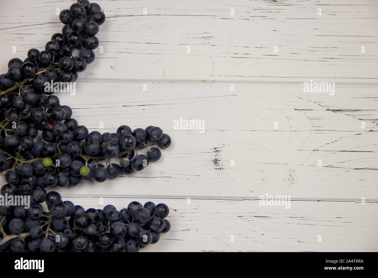 Wine grapes on a white background, Provence Stock Photo - Alamy