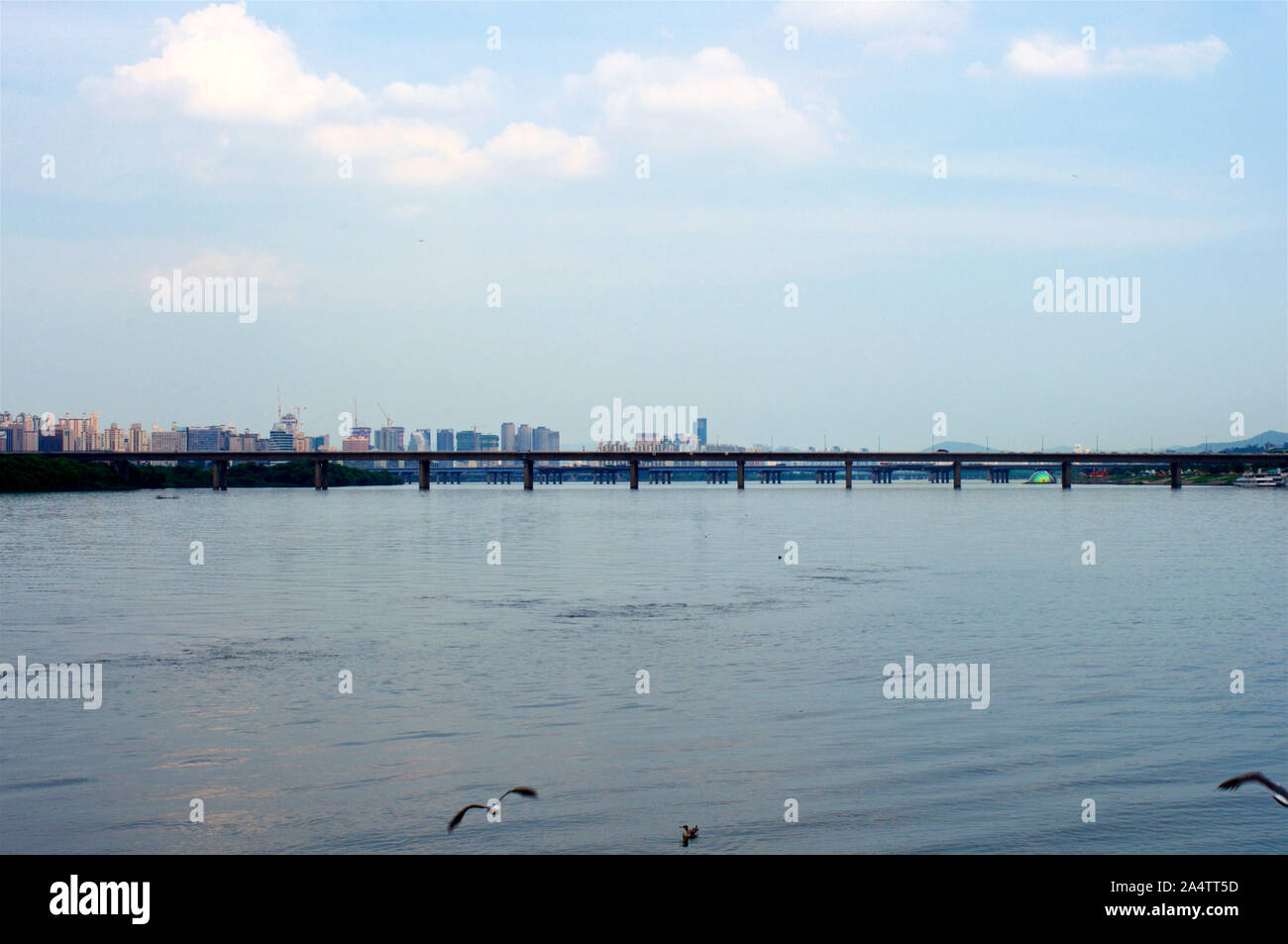 Hang river in Seoul in the evening with seagulls Stock Photo - Alamy