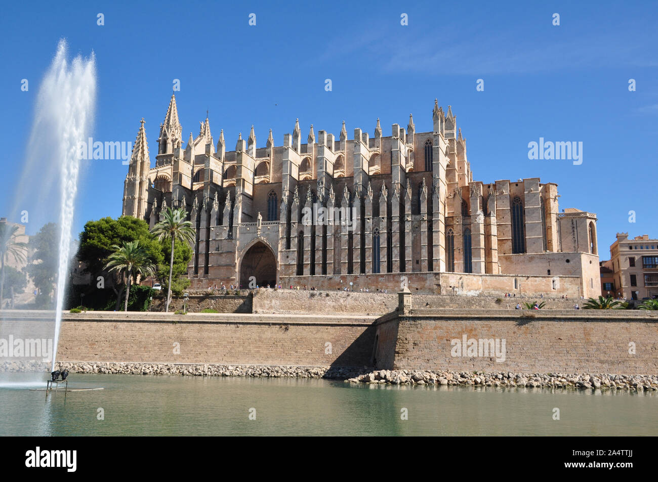 Palma cathedral, Majorca Stock Photo - Alamy