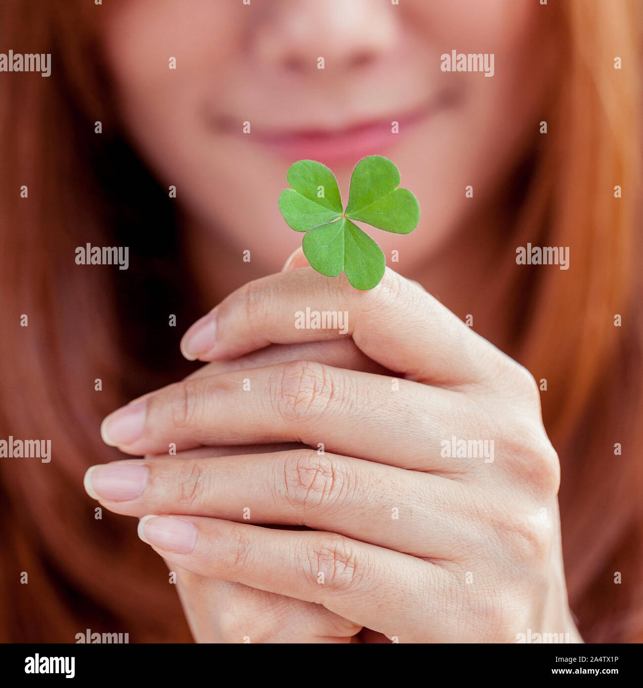 The girl hold Clover leaf . Concept for love , hope and goodness Stock ...