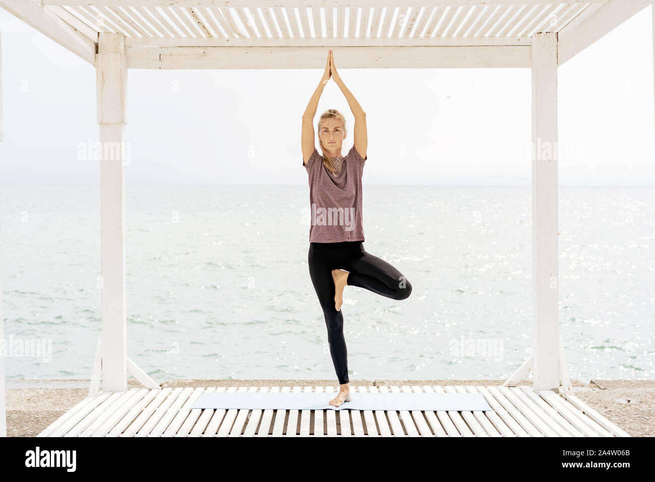 Tree pose silhouette hi-res stock photography and images - Alamy