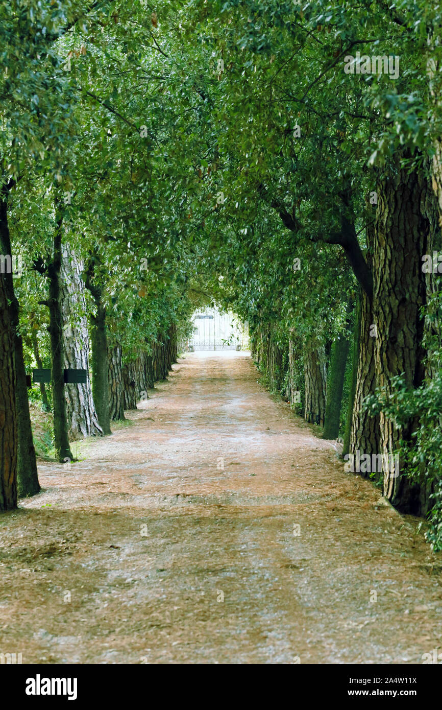 Italian landscapes, architecture and gardens beautiful views Stock ...