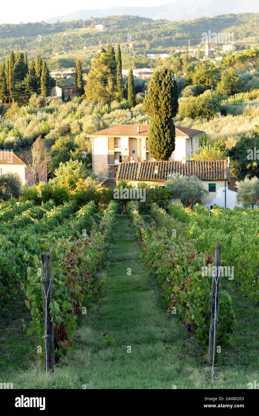 Italian landscapes, architecture and gardens beautiful views Stock ...