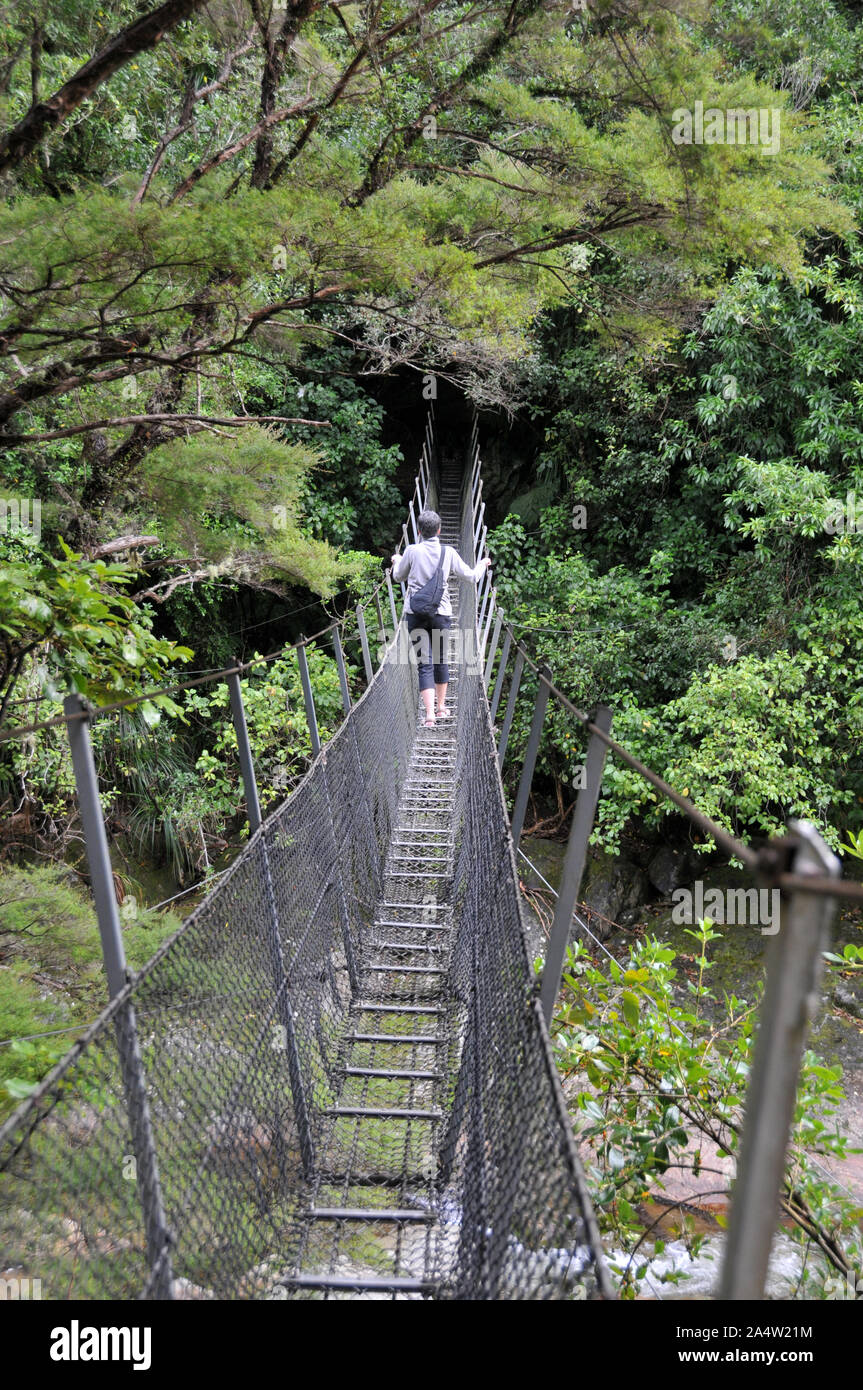 Around New Zealand - Suspension Bridge on the Wainui Falls Track Stock ...