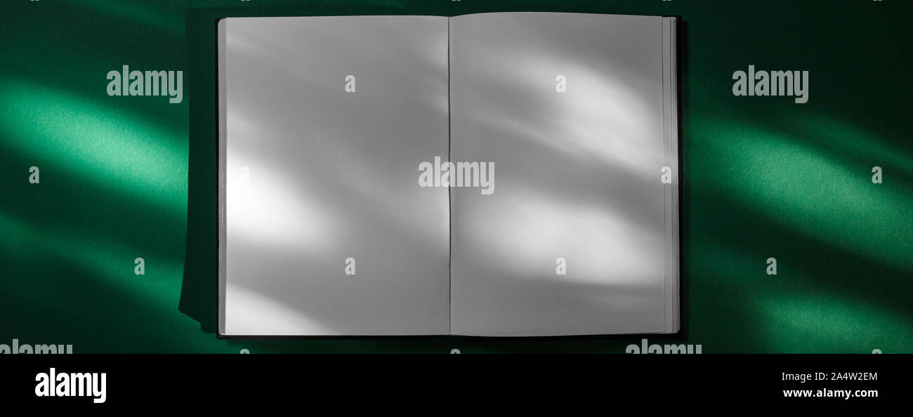 An open book on a table with spots of sunlight Stock Photo - Alamy