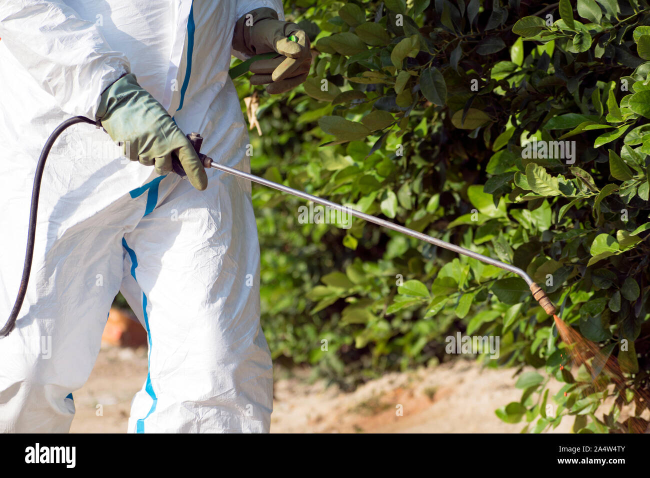Fumigating hi-res stock photography and images - Alamy