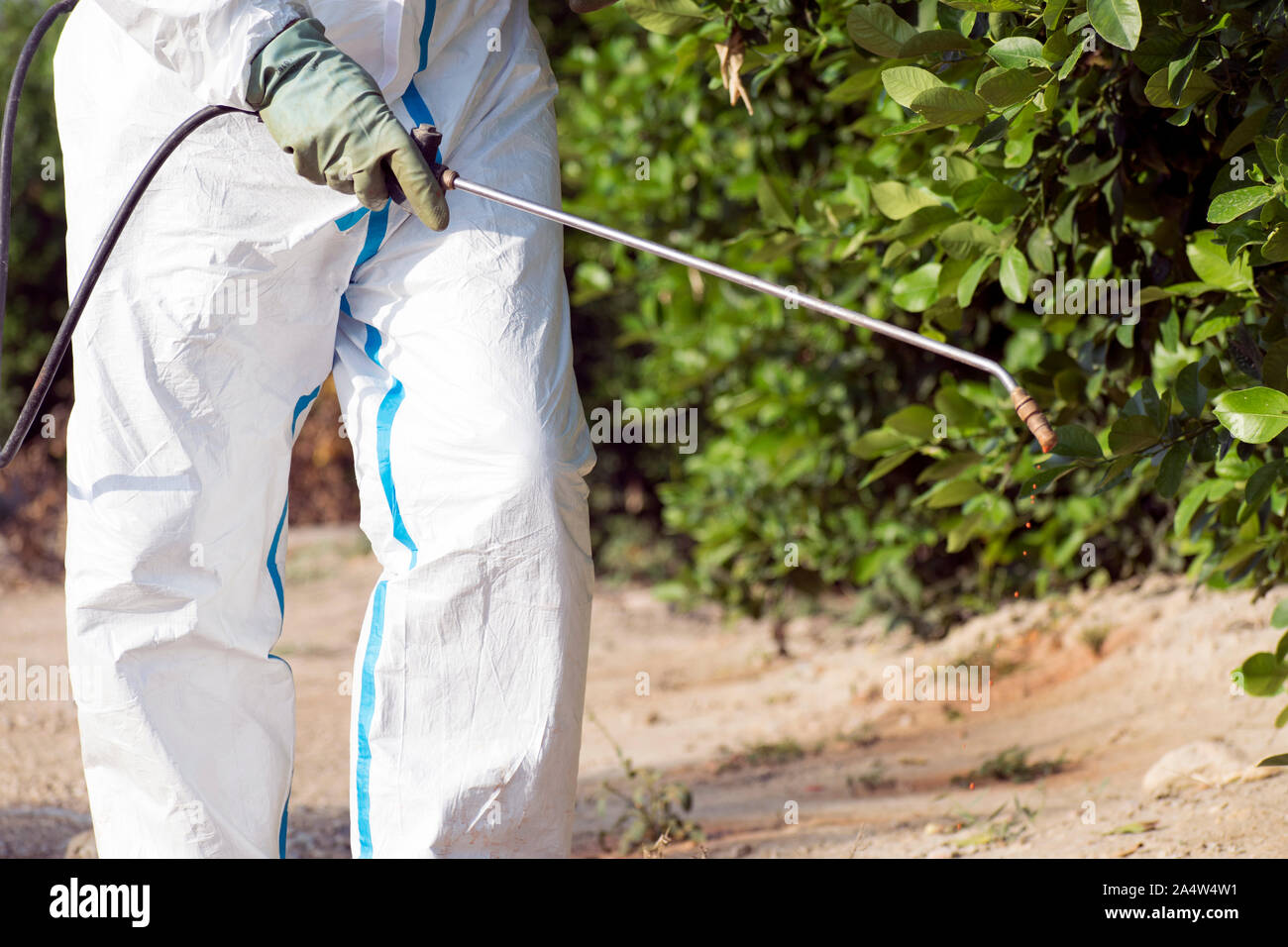 Spraying insecticides hi-res stock photography and images - Alamy