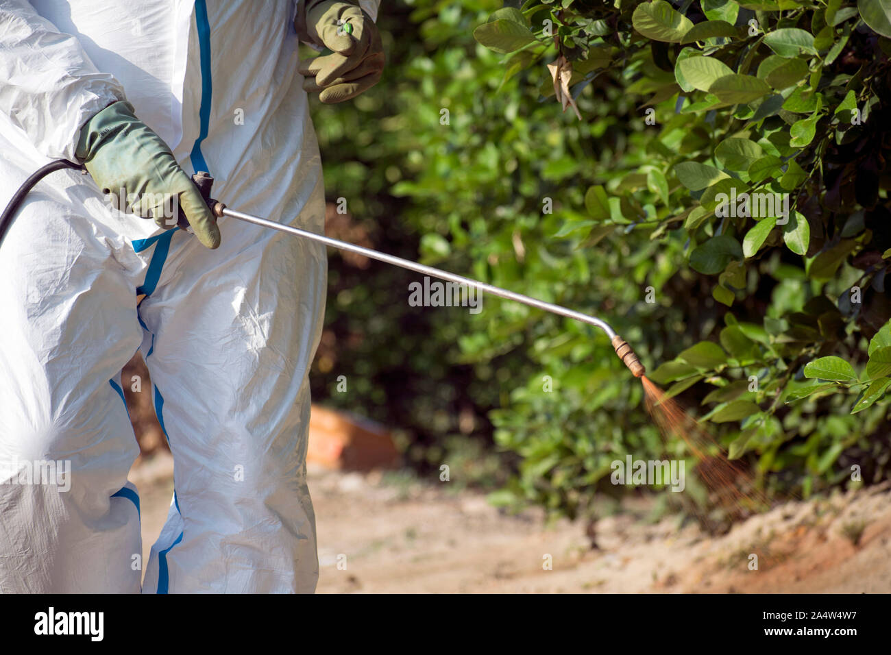 Weed control spray fumigation. Industrial chemical agriculture. Man ...