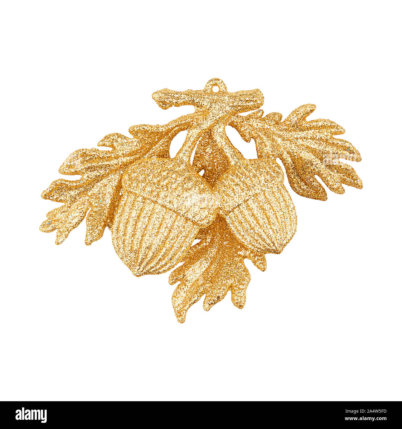 Shiny acorn Cut Out Stock Images & Pictures - Alamy