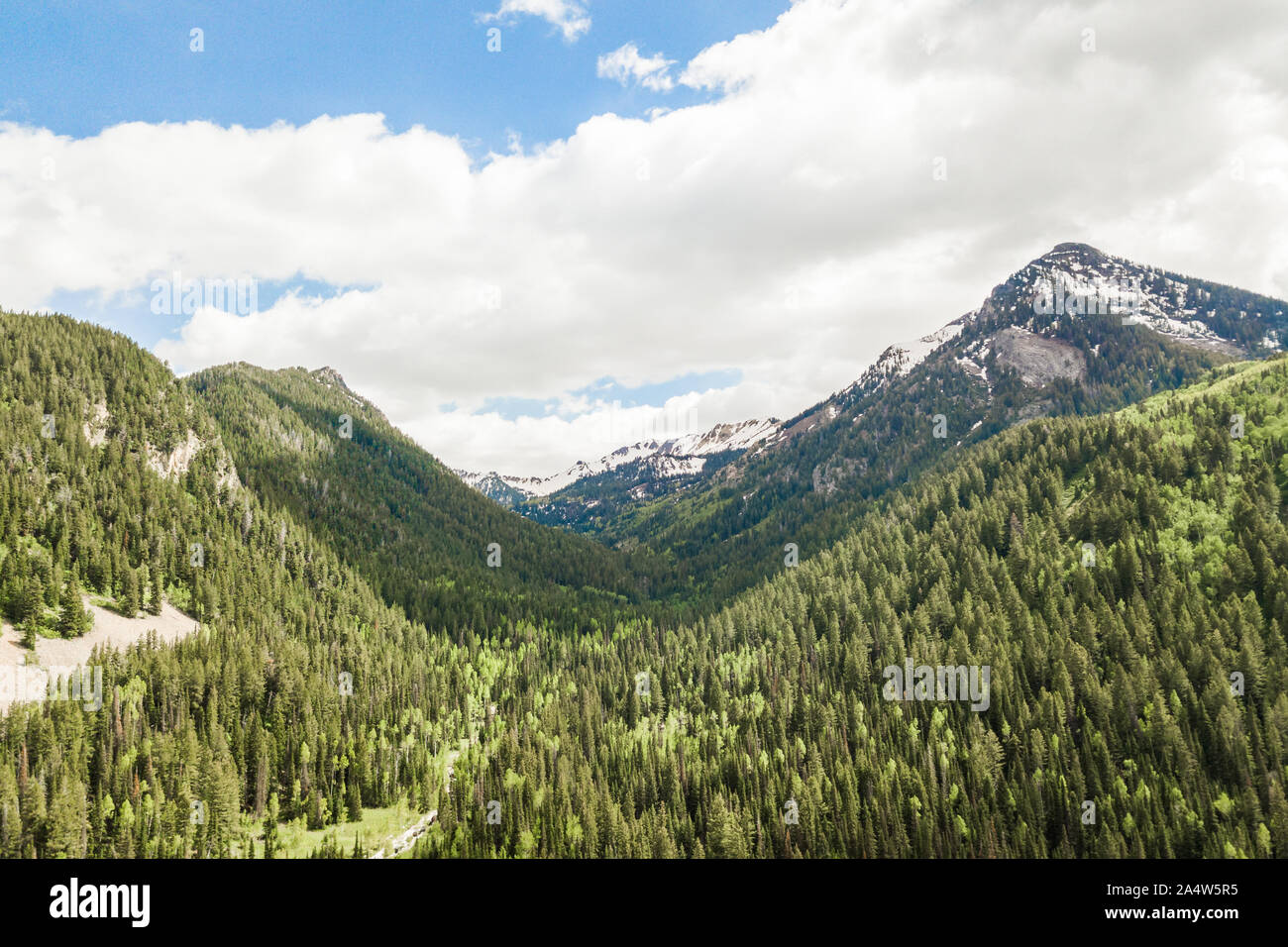 Glacier carved valley in upper Uintah National Forest, Utah, USA Stock ...