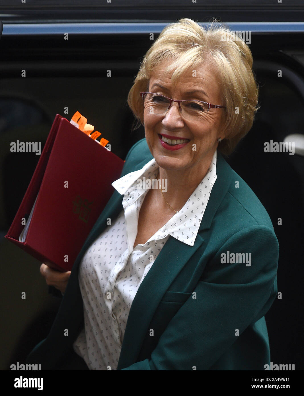 Business Secretary Andrea Leadsom arrives at 10 Downing Street, London ...