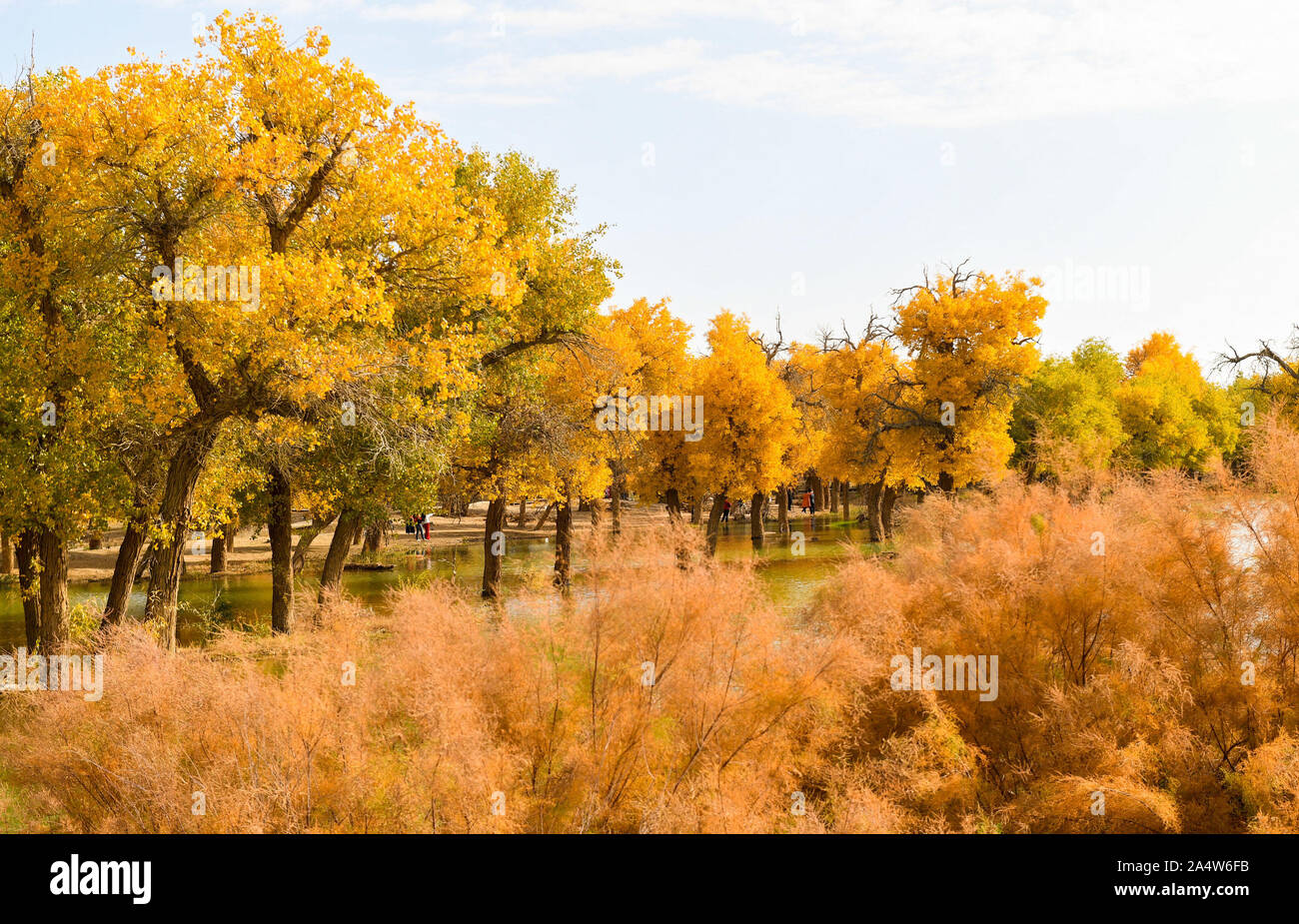 Ejin Banner. 16th Oct, 2019. Photo taken on Oct. 16, 2019 shows the ...