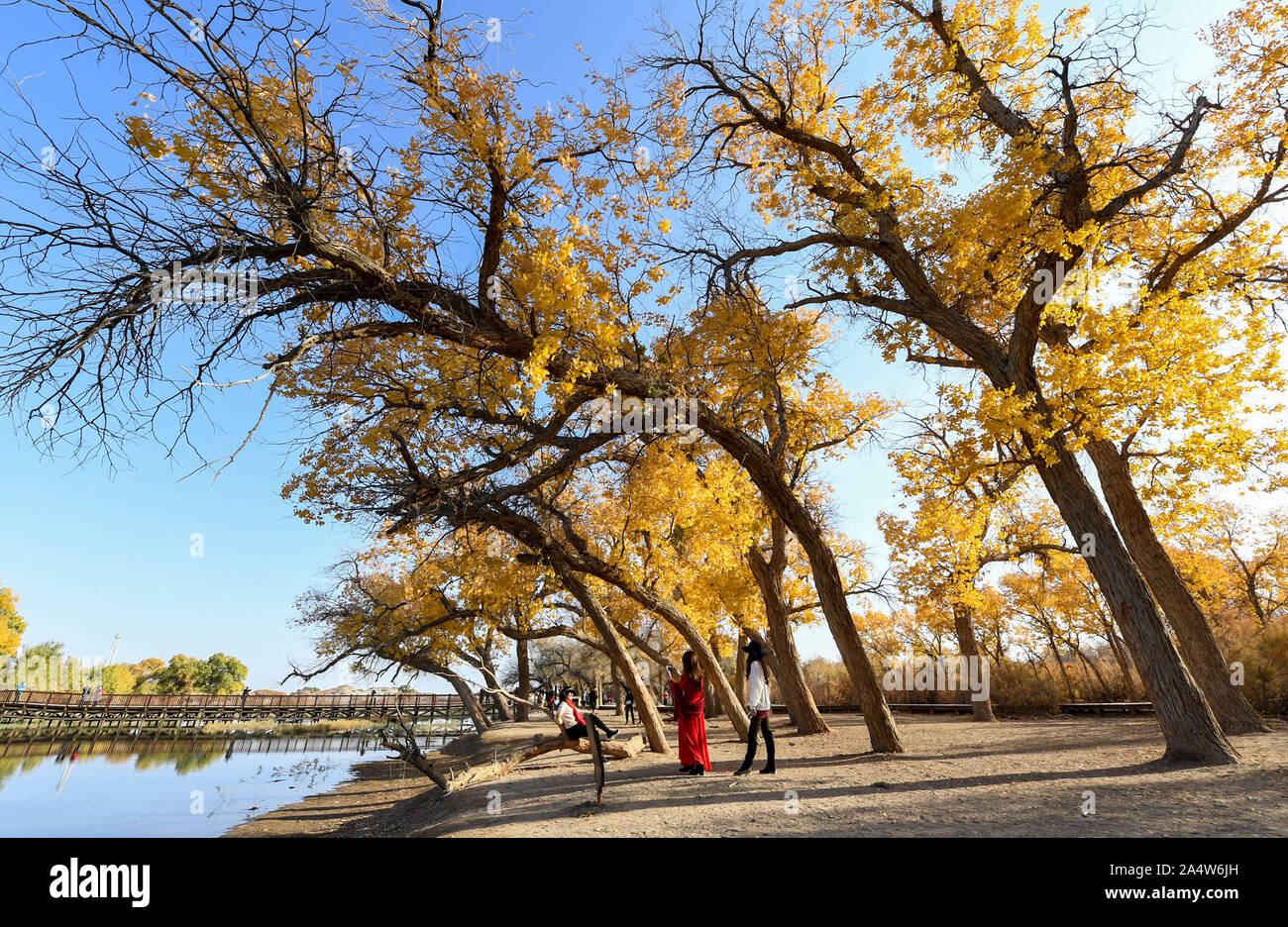 Ejin Banner. 16th Oct, 2019. Photo taken on Oct. 16, 2019 shows the ...