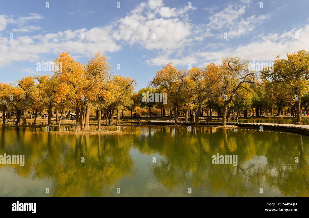Ejin Banner. 16th Oct, 2019. Photo taken on Oct. 16, 2019 shows the ...