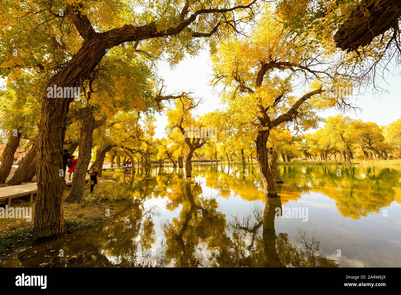 Ejin Banner. 16th Oct, 2019. Photo taken on Oct. 16, 2019 shows the ...