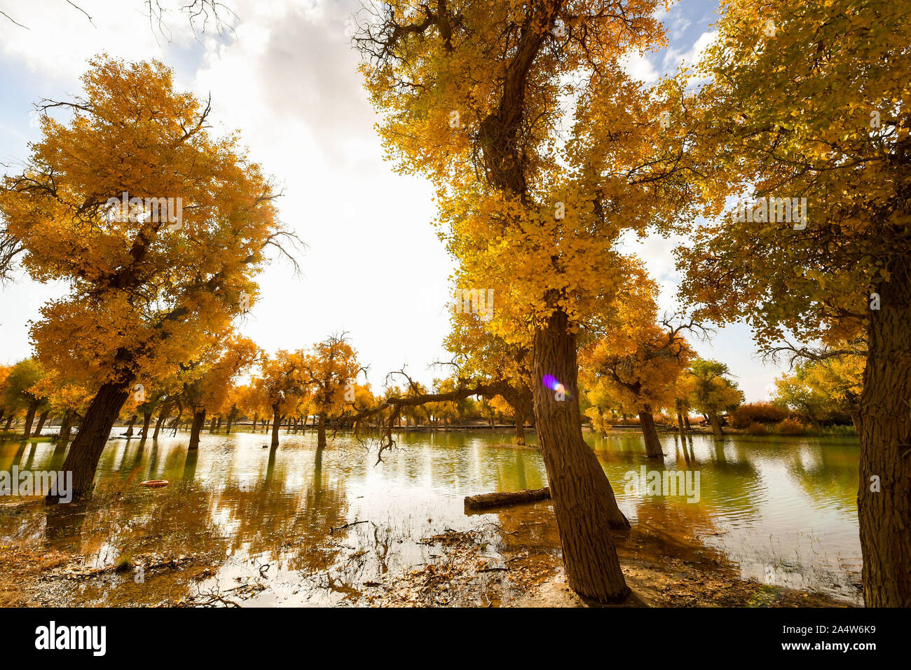 Ejin Banner. 16th Oct, 2019. Photo taken on Oct. 16, 2019 shows the ...