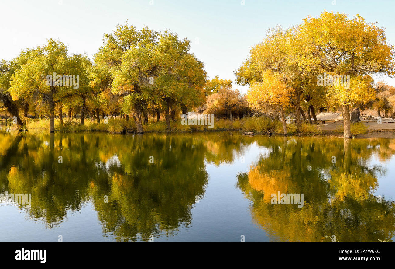 Ejin Banner. 16th Oct, 2019. Photo taken on Oct. 16, 2019 shows the ...