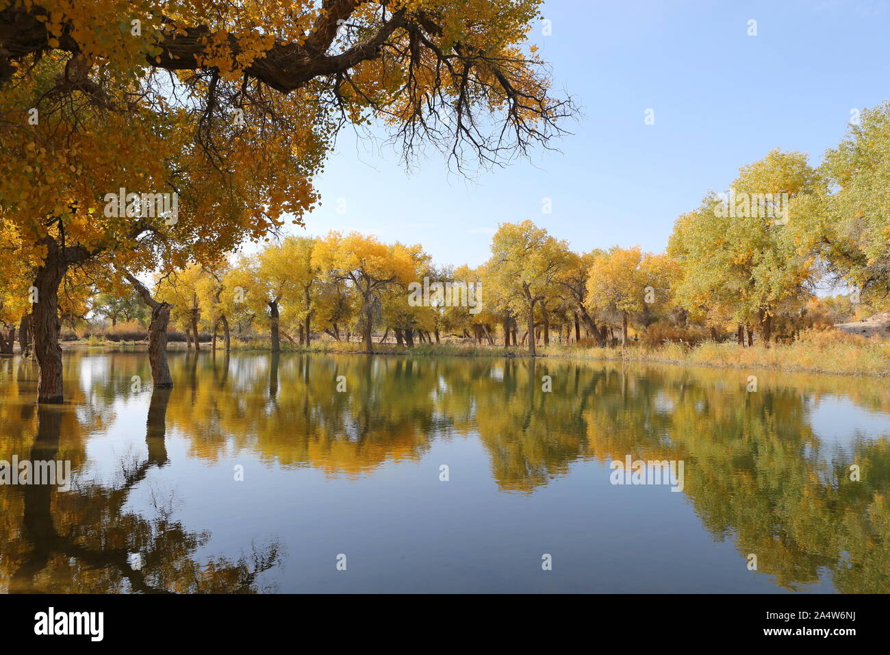 Ejin Banner. 16th Oct, 2019. Photo taken on Oct. 16, 2019 shows the ...