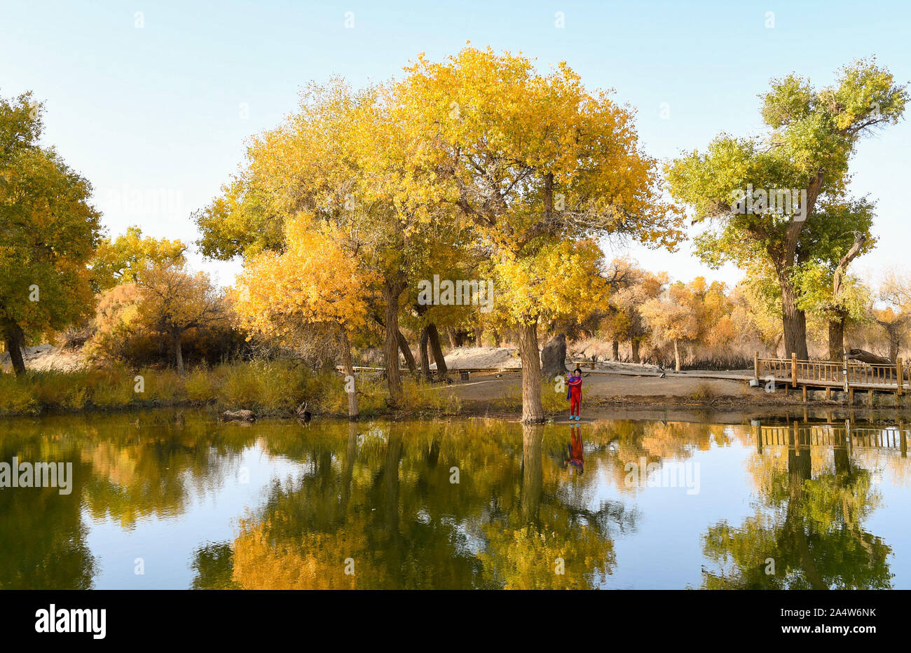 Ejin Banner. 16th Oct, 2019. Photo taken on Oct. 16, 2019 shows the ...
