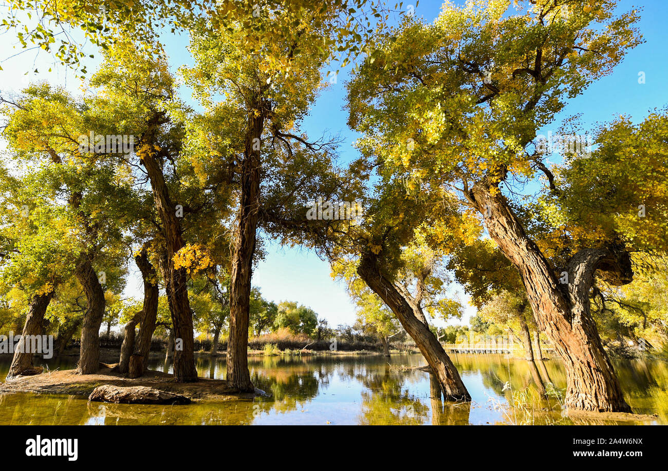 Ejin Banner. 16th Oct, 2019. Photo taken on Oct. 16, 2019 shows the ...