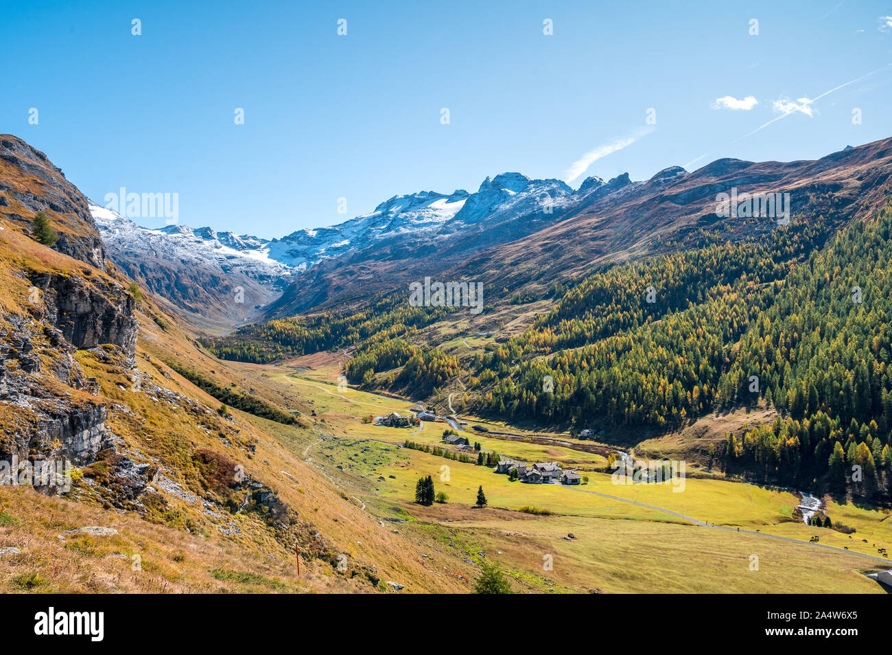 Fextal hi-res stock photography and images - Alamy