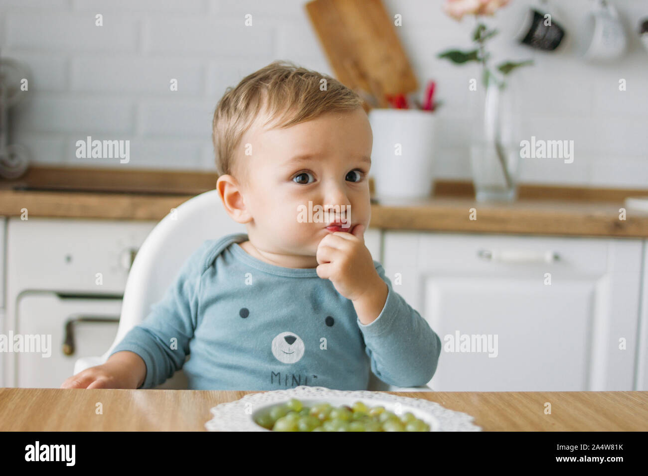 Charming concentrated little baby boy eating first food green grape at ...