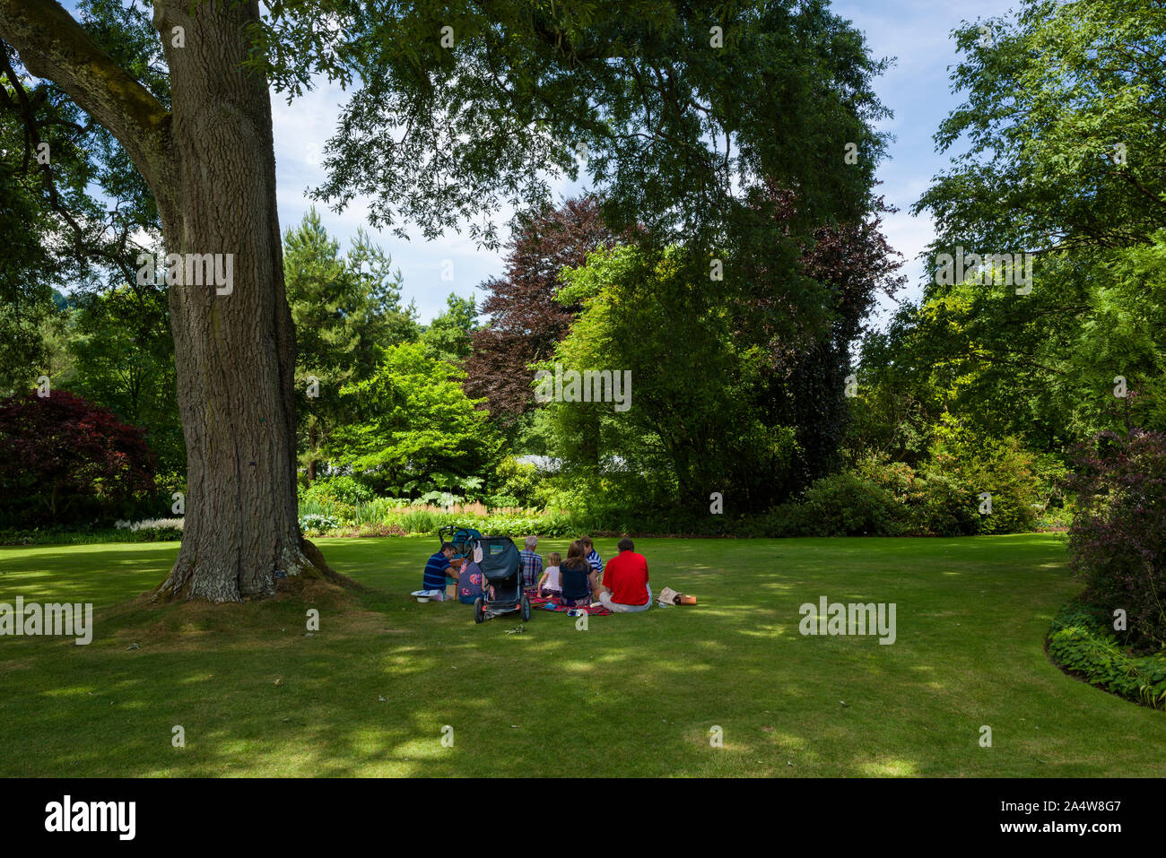 British royal family tree hi-res stock photography and images - Alamy