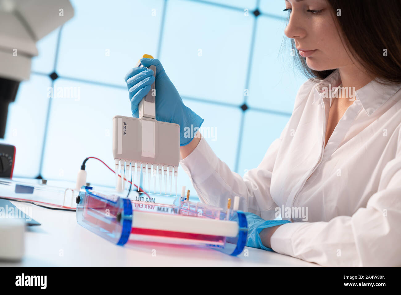 Loading Samples and Running an Agarose Gel for electrophoresis, Gel ...