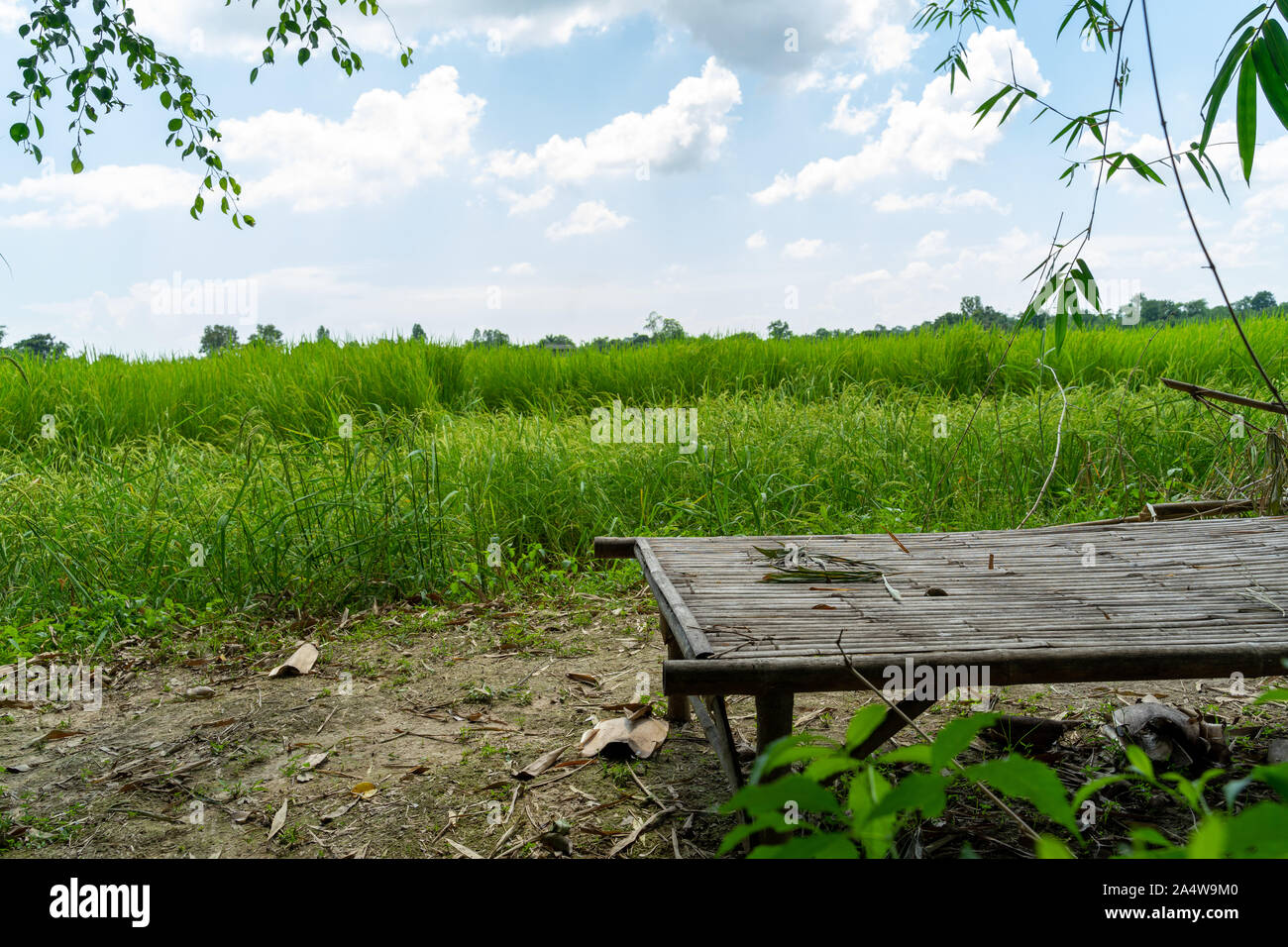 Couch in field hi-res stock photography and images - Alamy