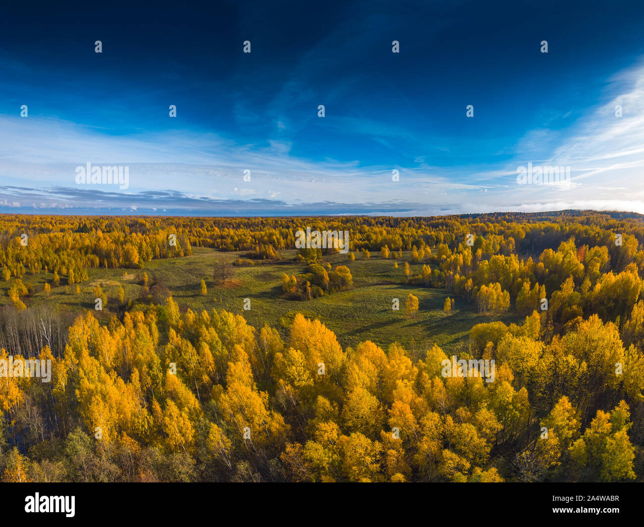 Aerial flight overhead autumn tree hi-res stock photography and images ...