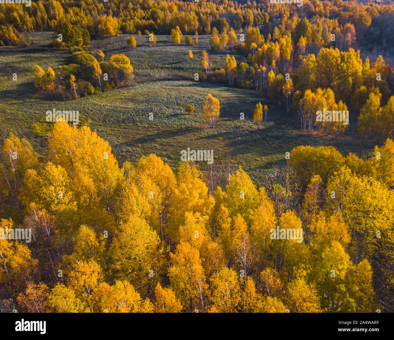 Aerial flight overhead autumn tree hi-res stock photography and images ...