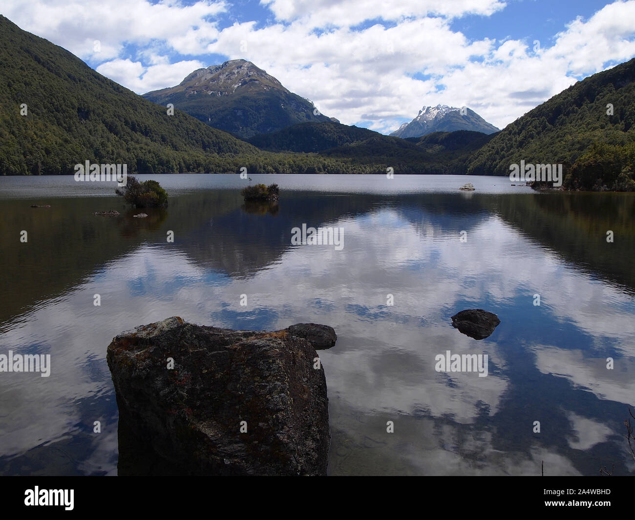 Biodiversity loop hi-res stock photography and images - Alamy