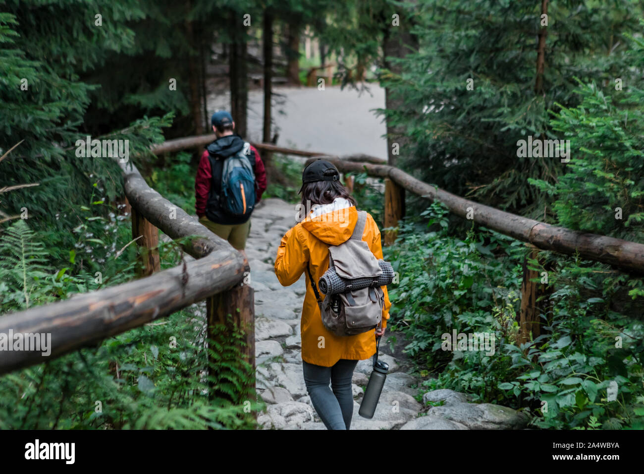 hikers walking by stone trail in forest Stock Photo - Alamy