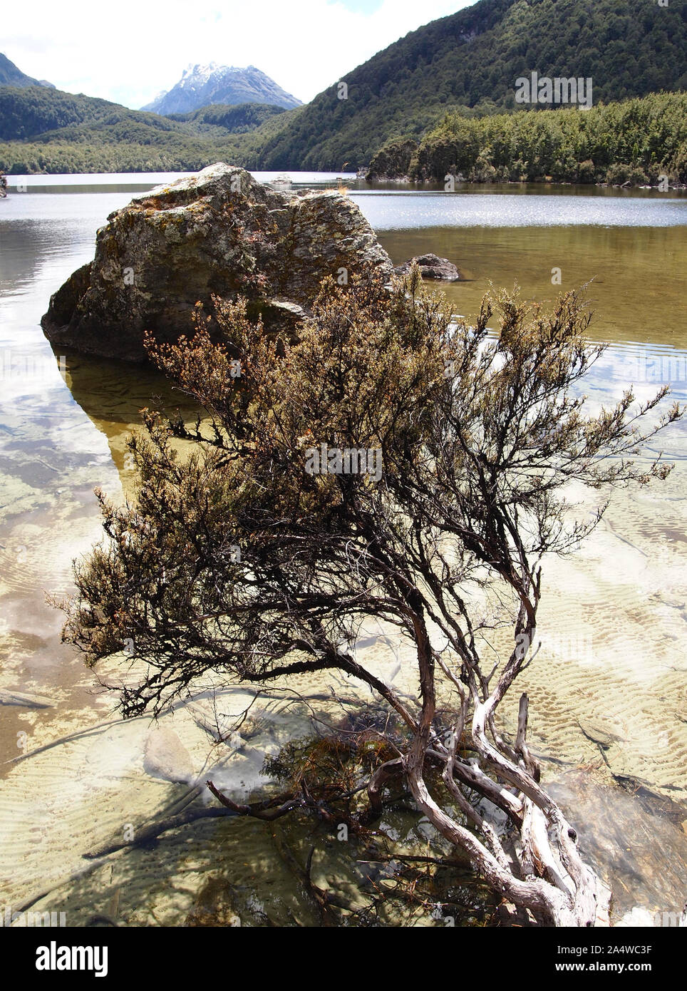 Biodiversity loop hi-res stock photography and images - Alamy