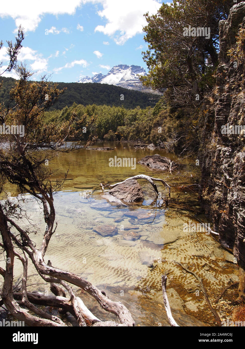 Maori greenstone hi-res stock photography and images - Alamy