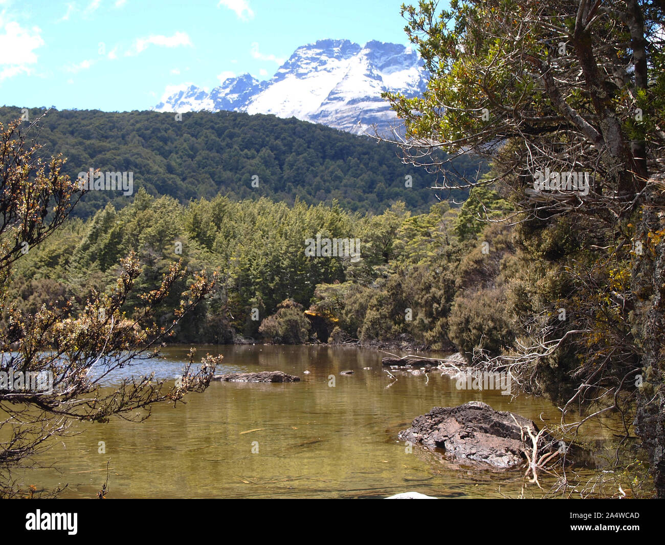 Lake Rere loop trail, near Lake Wakatipu in New Zealand South Island ...