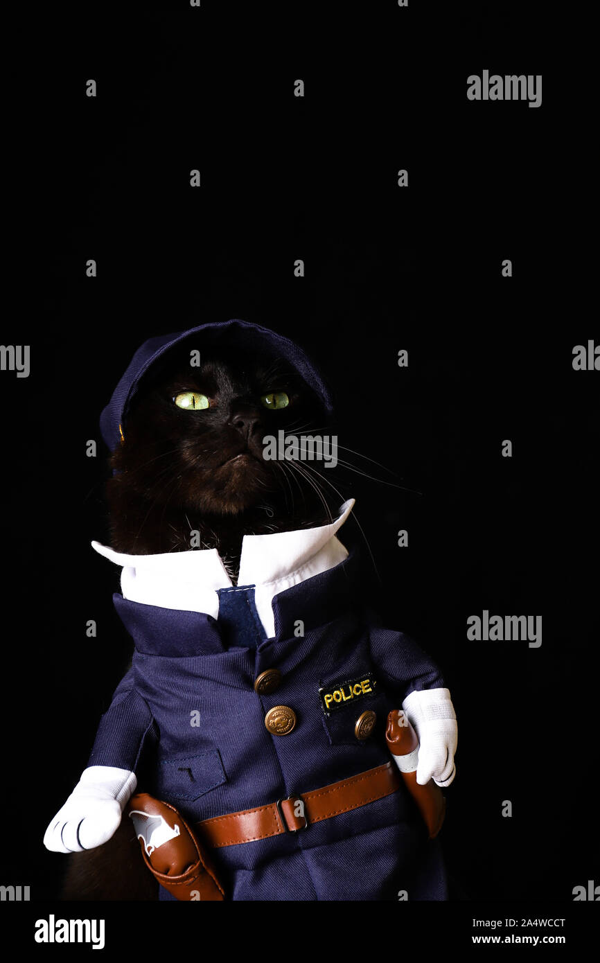 Police Suspect Board High Resolution Stock Photography and Images - Alamy