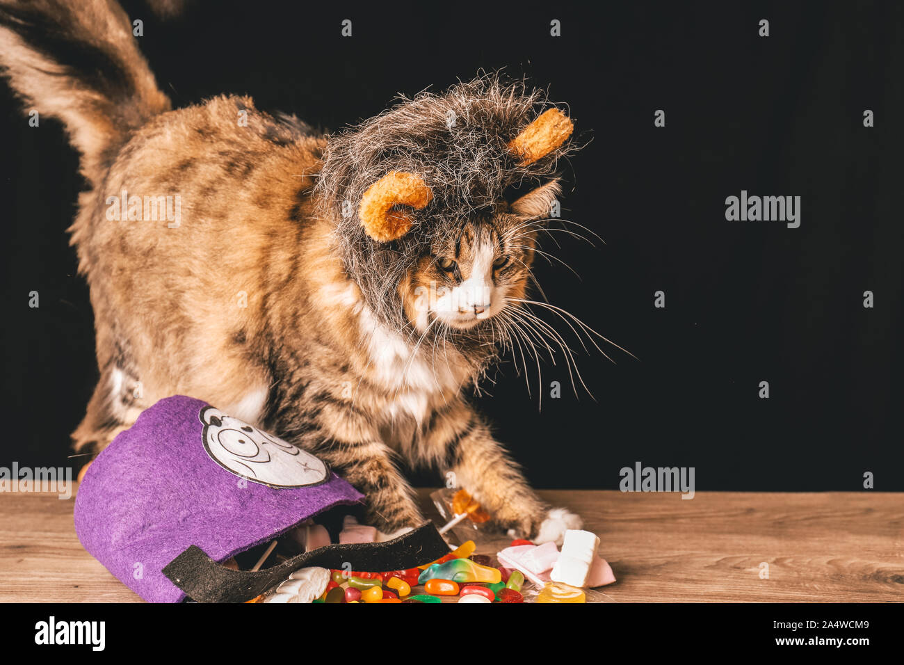 Candy candy anime hi-res stock photography and images - Alamy