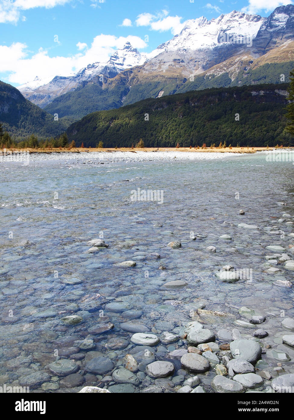 Biodiversity loop hi-res stock photography and images - Alamy