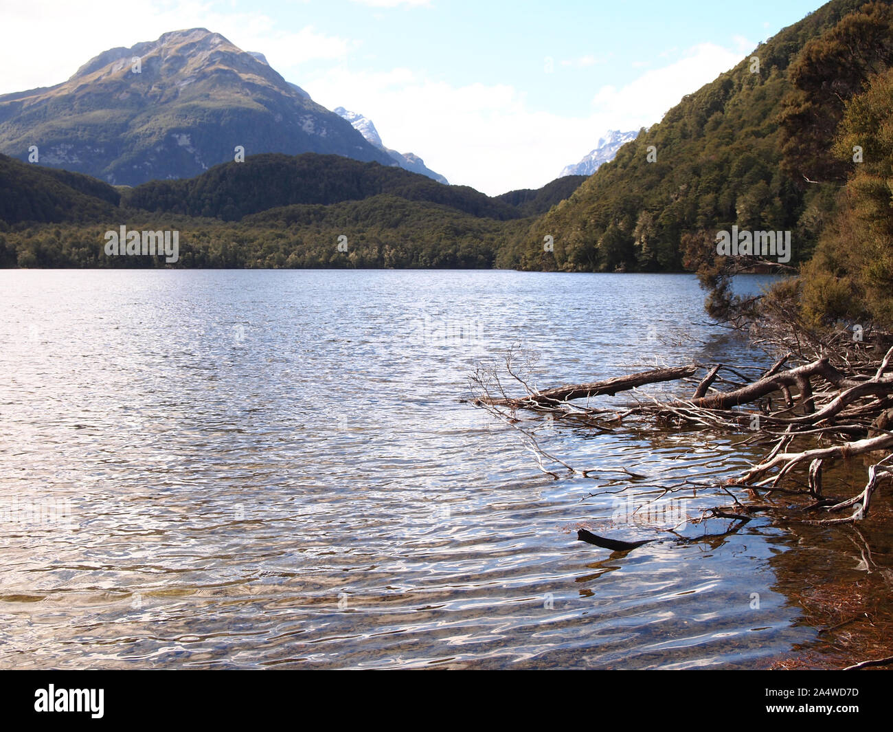 Maori heritage trail hi-res stock photography and images - Alamy