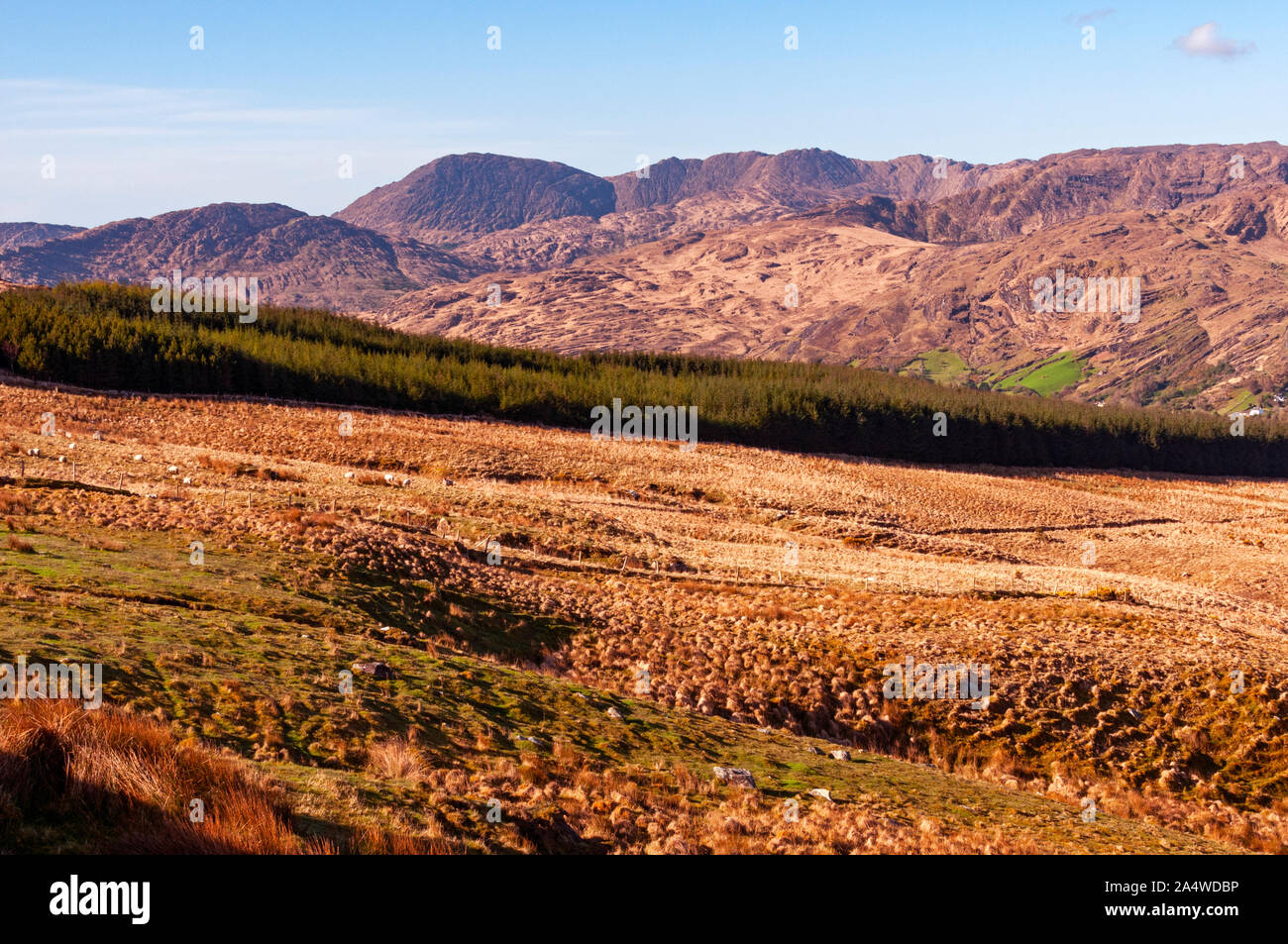 Caha mountains hi-res stock photography and images - Alamy