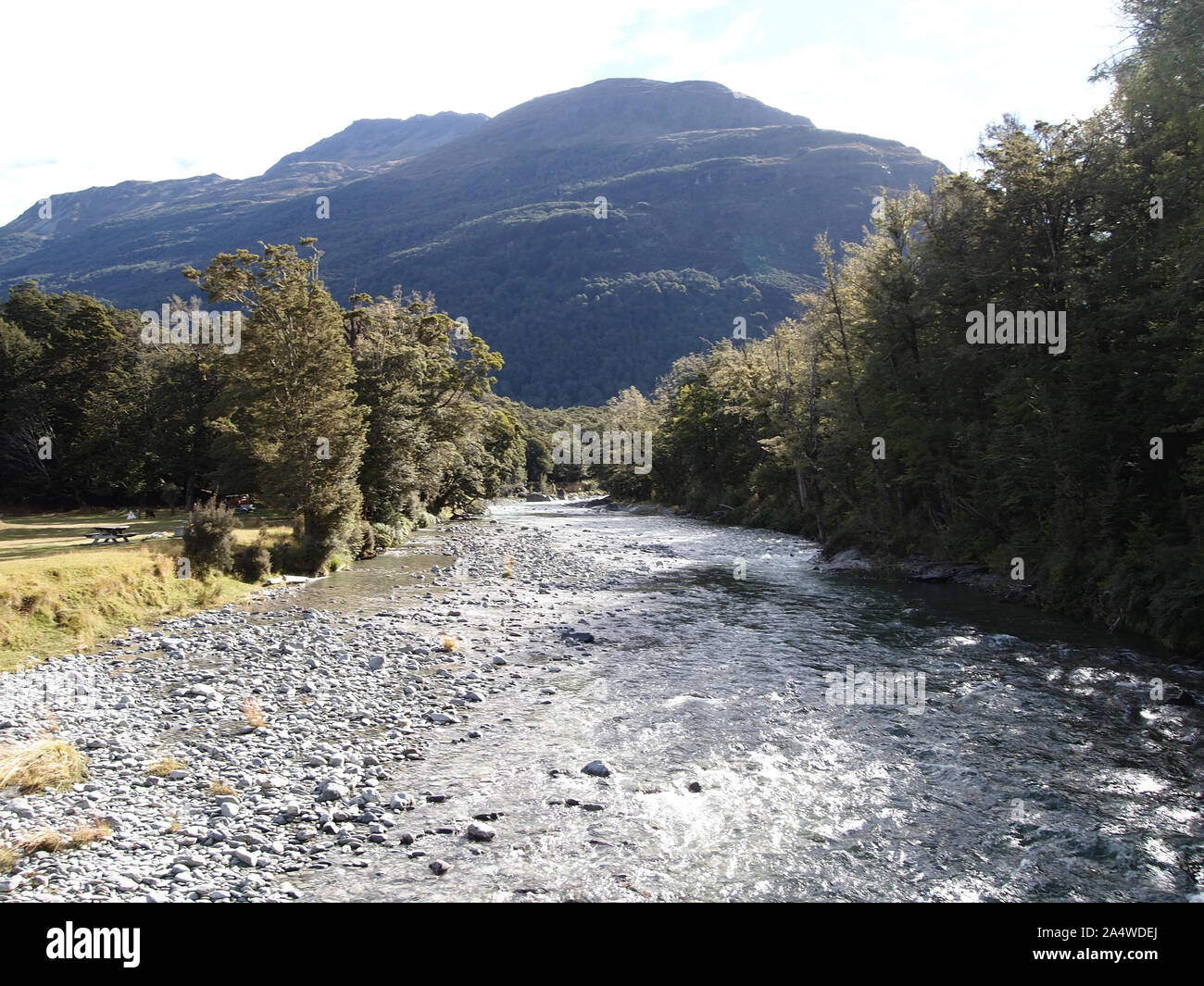 Biodiversity loop hi-res stock photography and images - Alamy