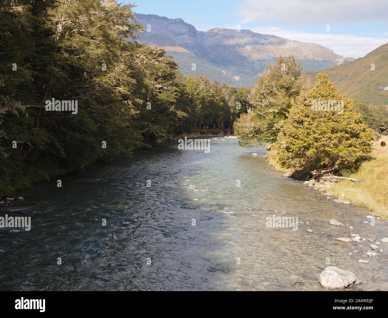 Greenstone new zealand hi-res stock photography and images - Alamy
