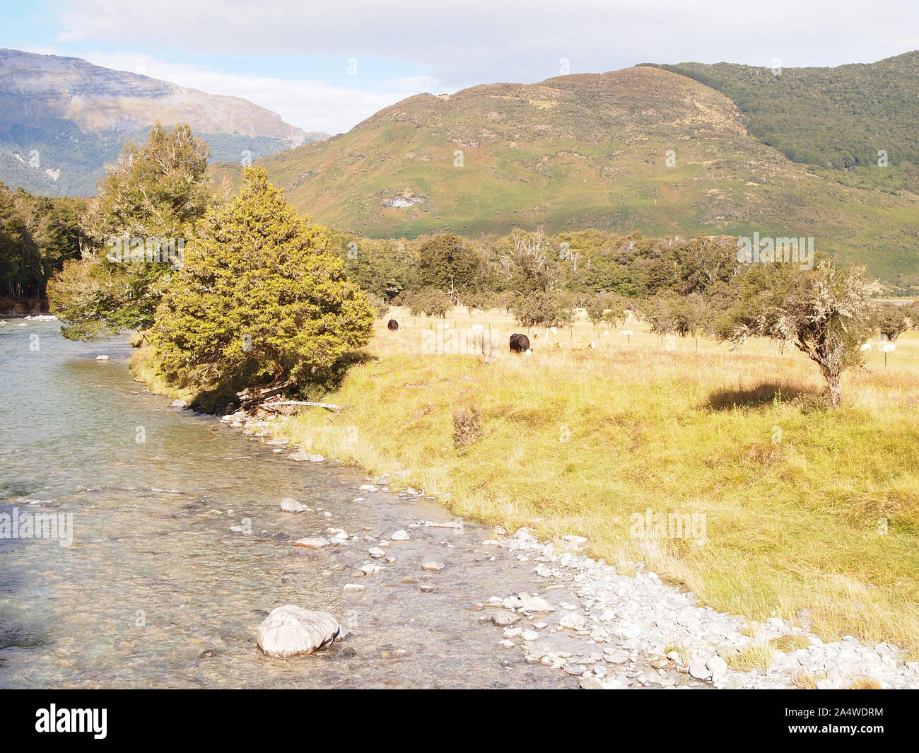 Lake Rere loop trail, near Lake Wakatipu in New Zealand South Island ...